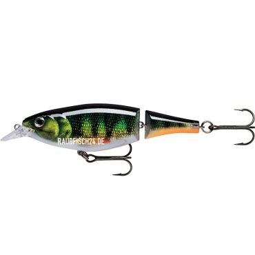 Rapala X-Rap Jointed Shad - Raubfisch24