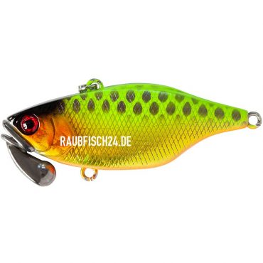Jackall TN60 Trigon - Raubfisch24